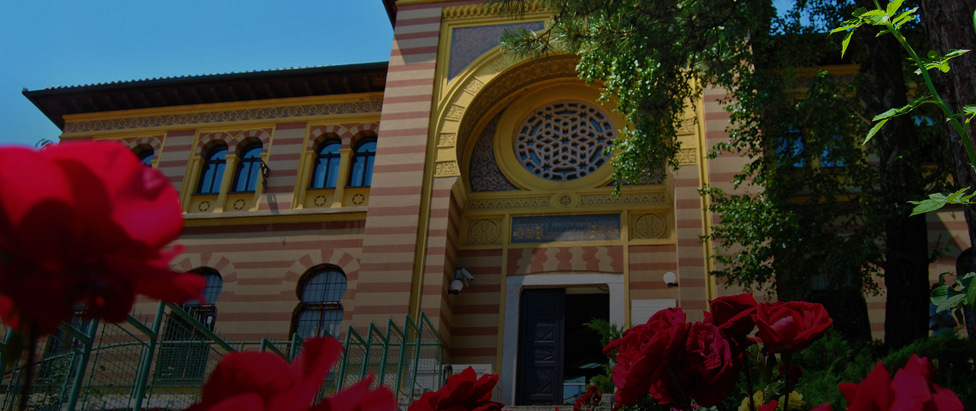 Preliminarna rang lista primljenih kandidata u studentski centar IZ-e BiH - FiN